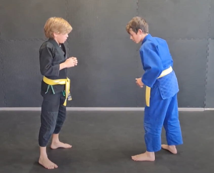 Instructional videos | Teaching BJJ